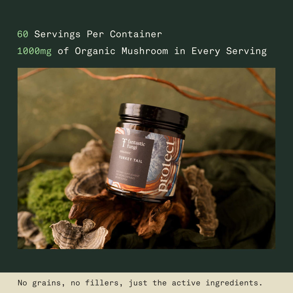 boost your wellness with mushrooms
