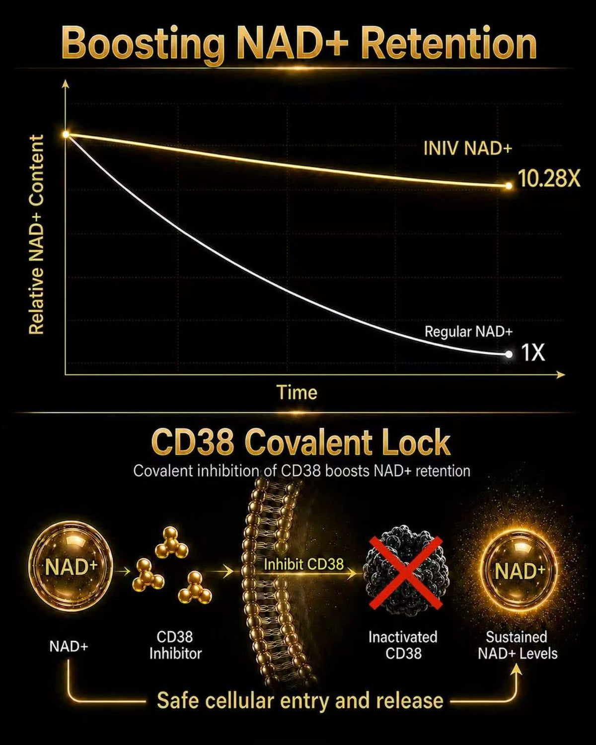 Boost your wellness with NAD NMN