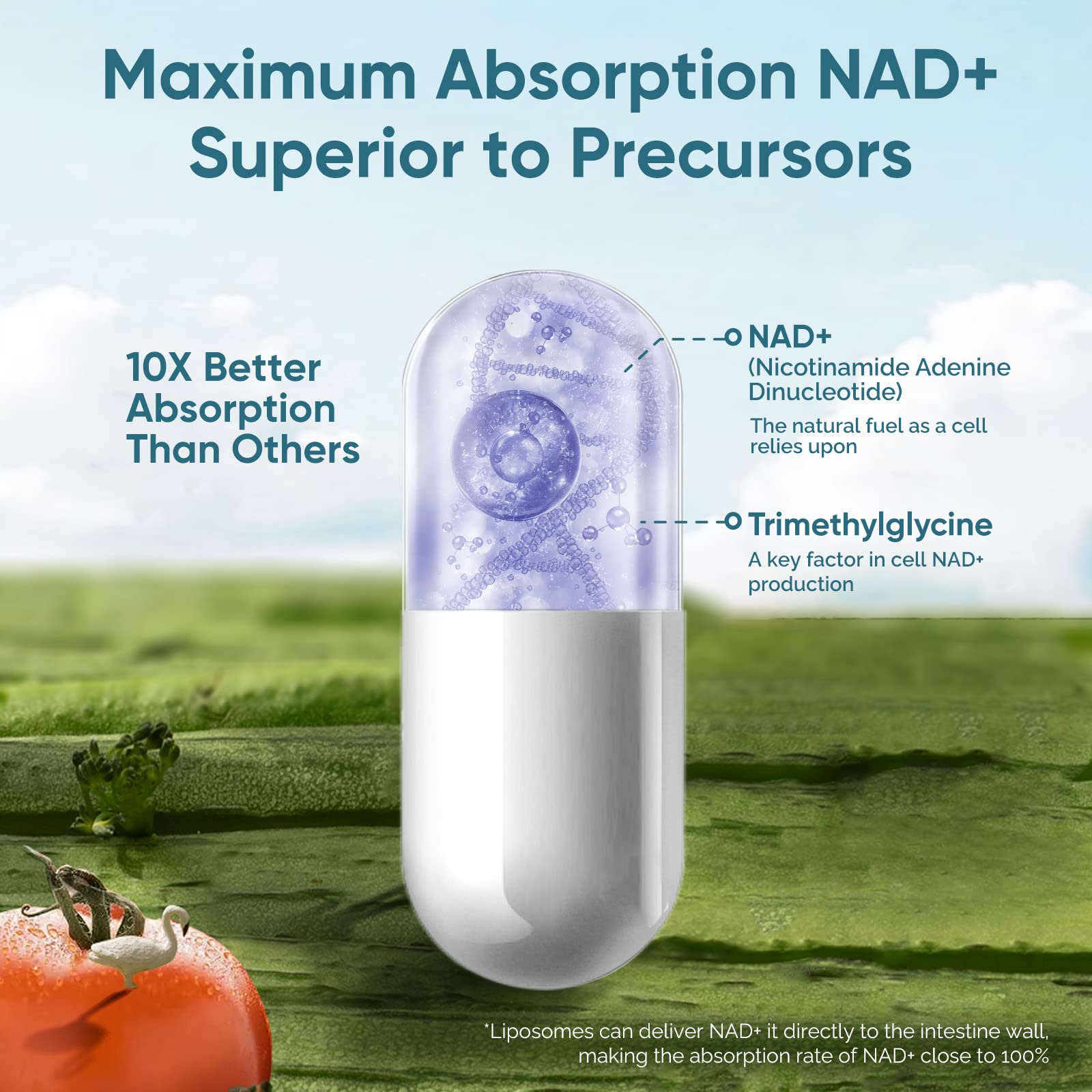 Boost your wellness with NAD+ supplements
