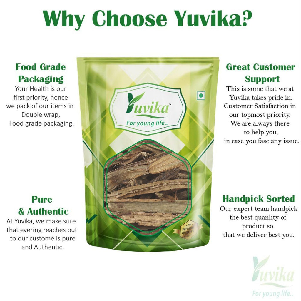boost your wellness with nettle