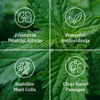 boost your wellness with nettle