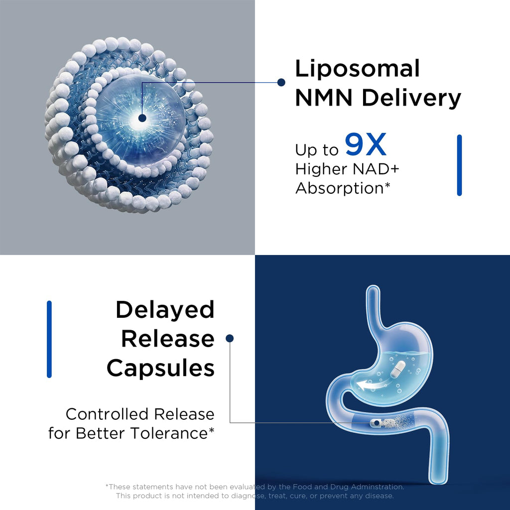 Boost your wellness with NMN
