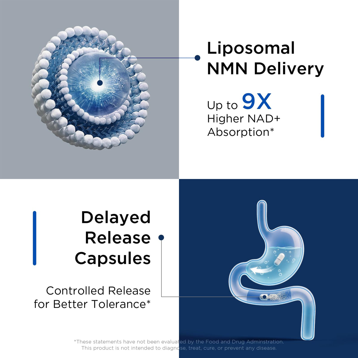 Boost your wellness with NMN