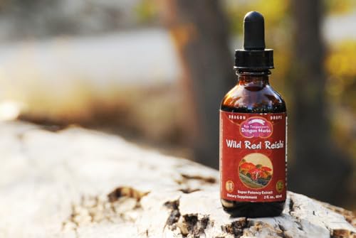 boost your wellness with reishi