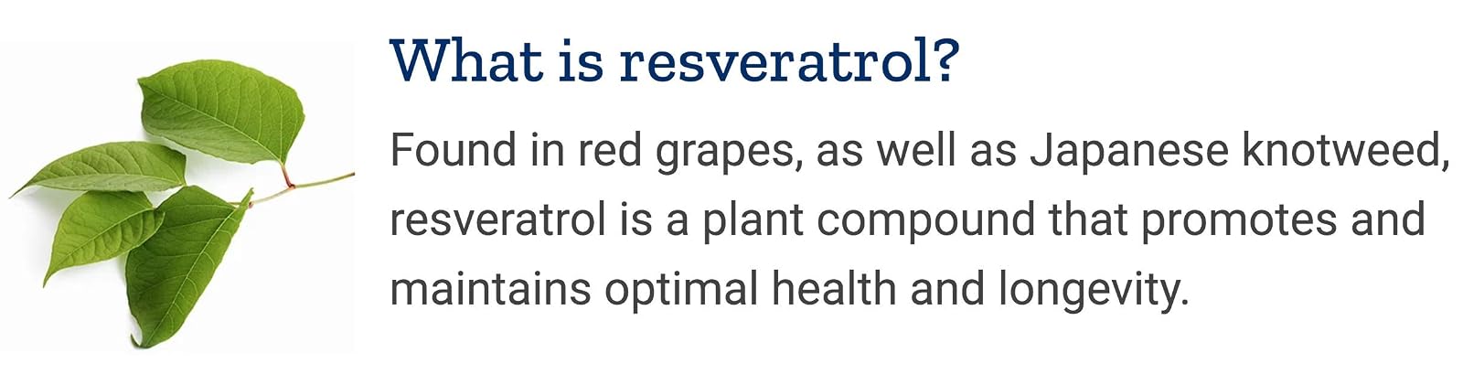 Boost your wellness with Resveratrol