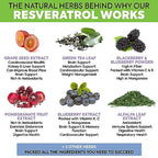 boost your wellness with resveratrol