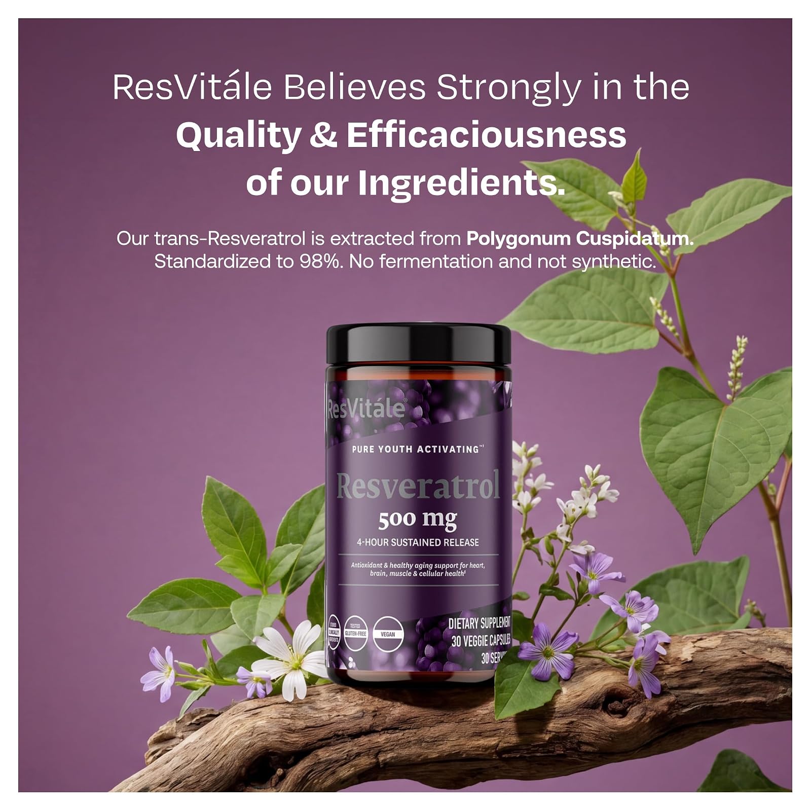 Boost your wellness with ResVitale