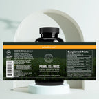 Boost your wellness with sea moss