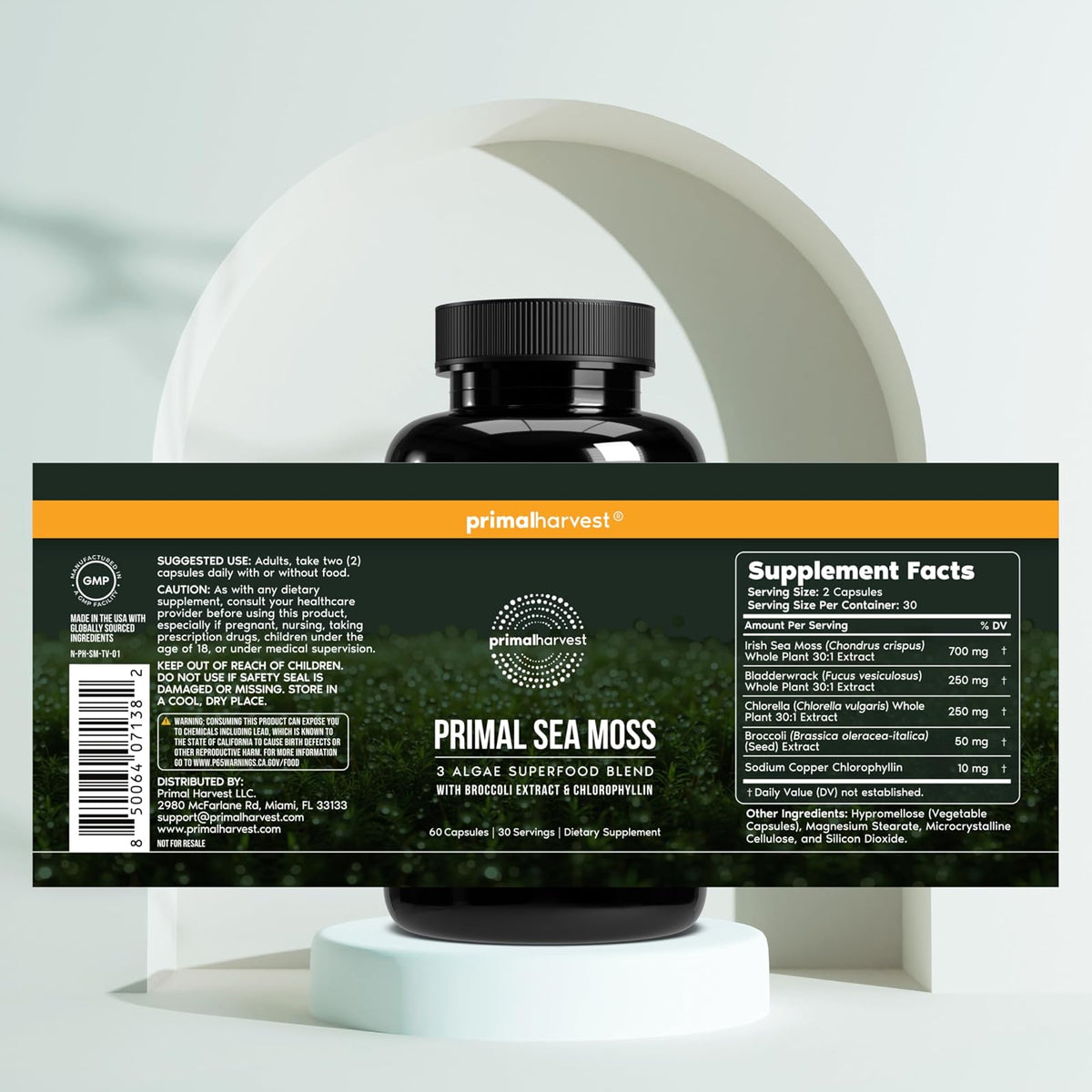 Boost your wellness with sea moss