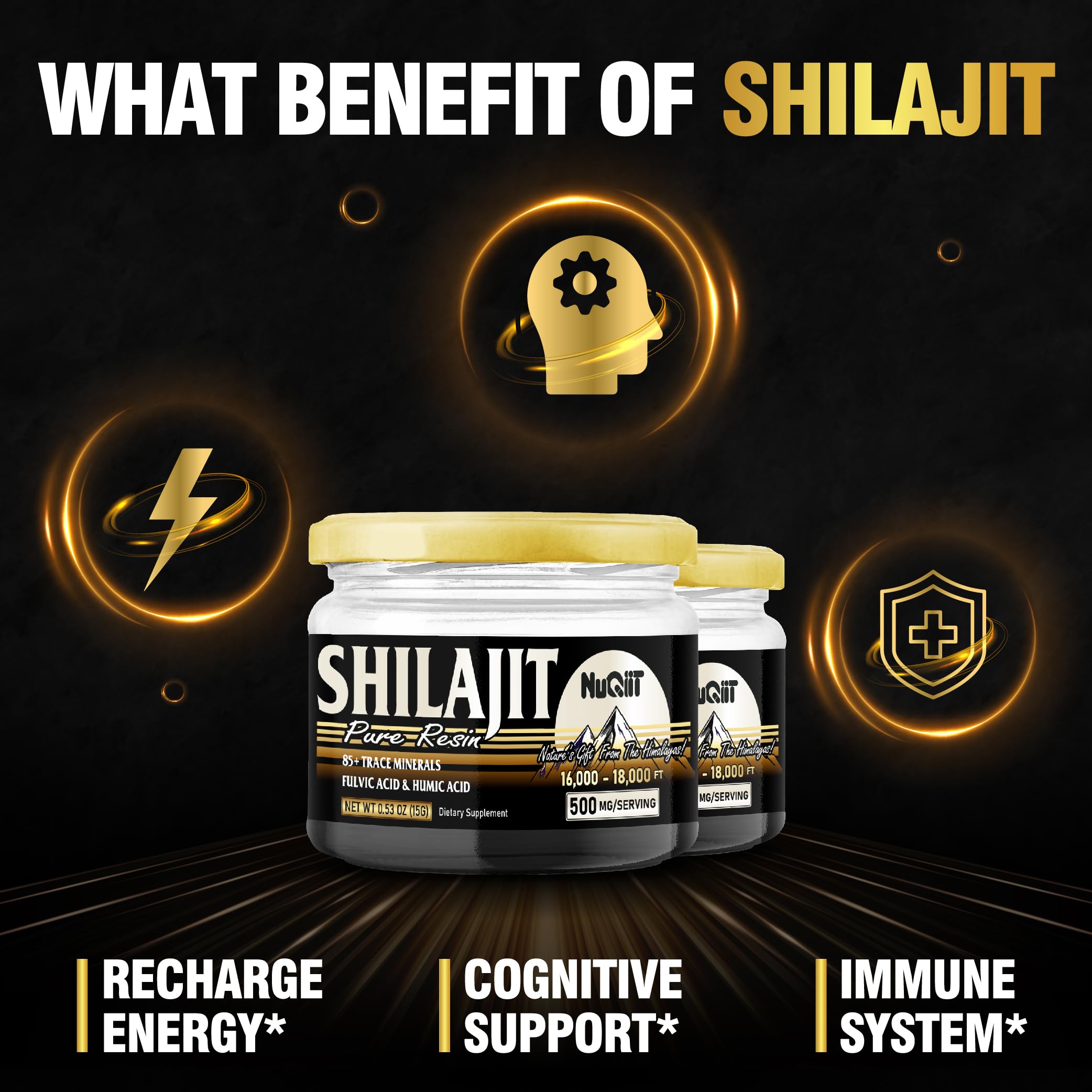 boost your wellness with shilajit