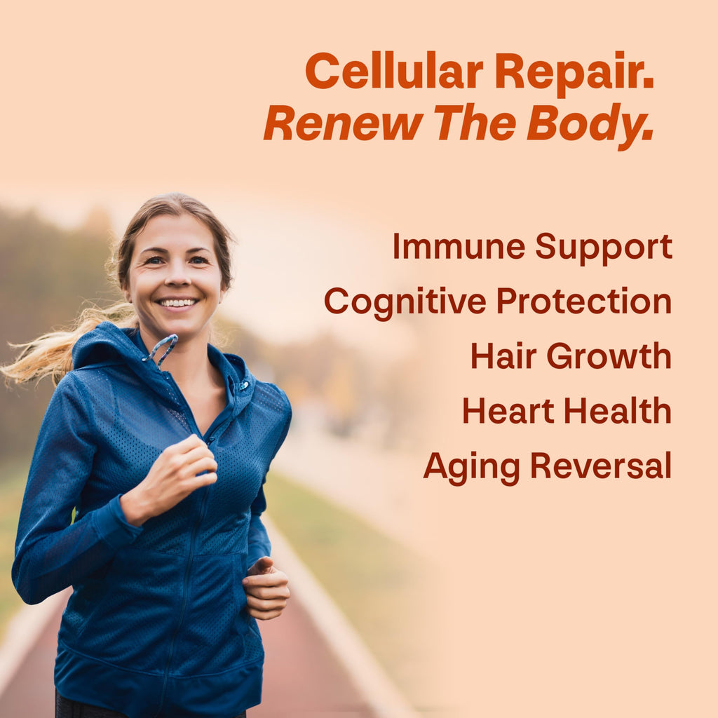 Boost your wellness with spermidine