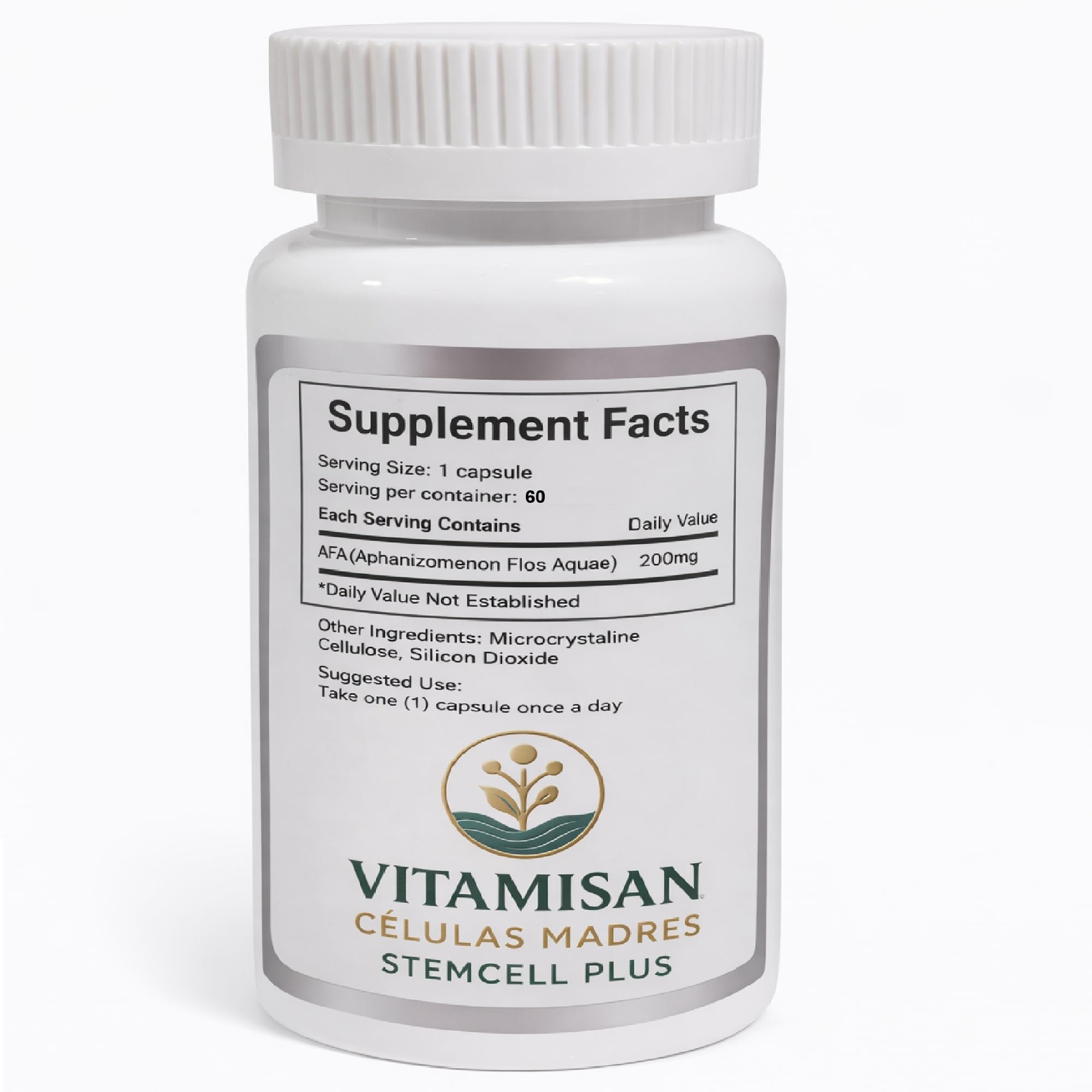 boost your wellness with stem cell support