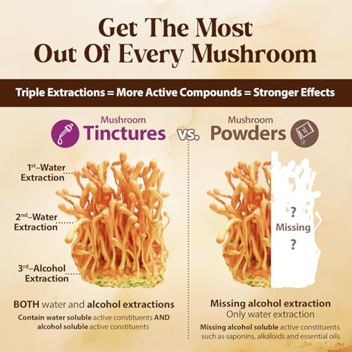 Boost your workout with mushroom supplements