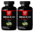 Booster ginkgo biloba for memory support