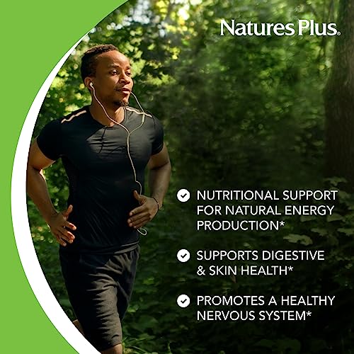Boosts energy metabolism naturally