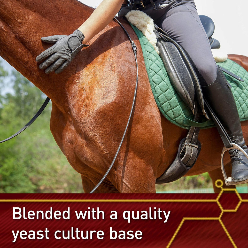 Boosts immune system in horses