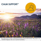 boosts mood and cognitive function