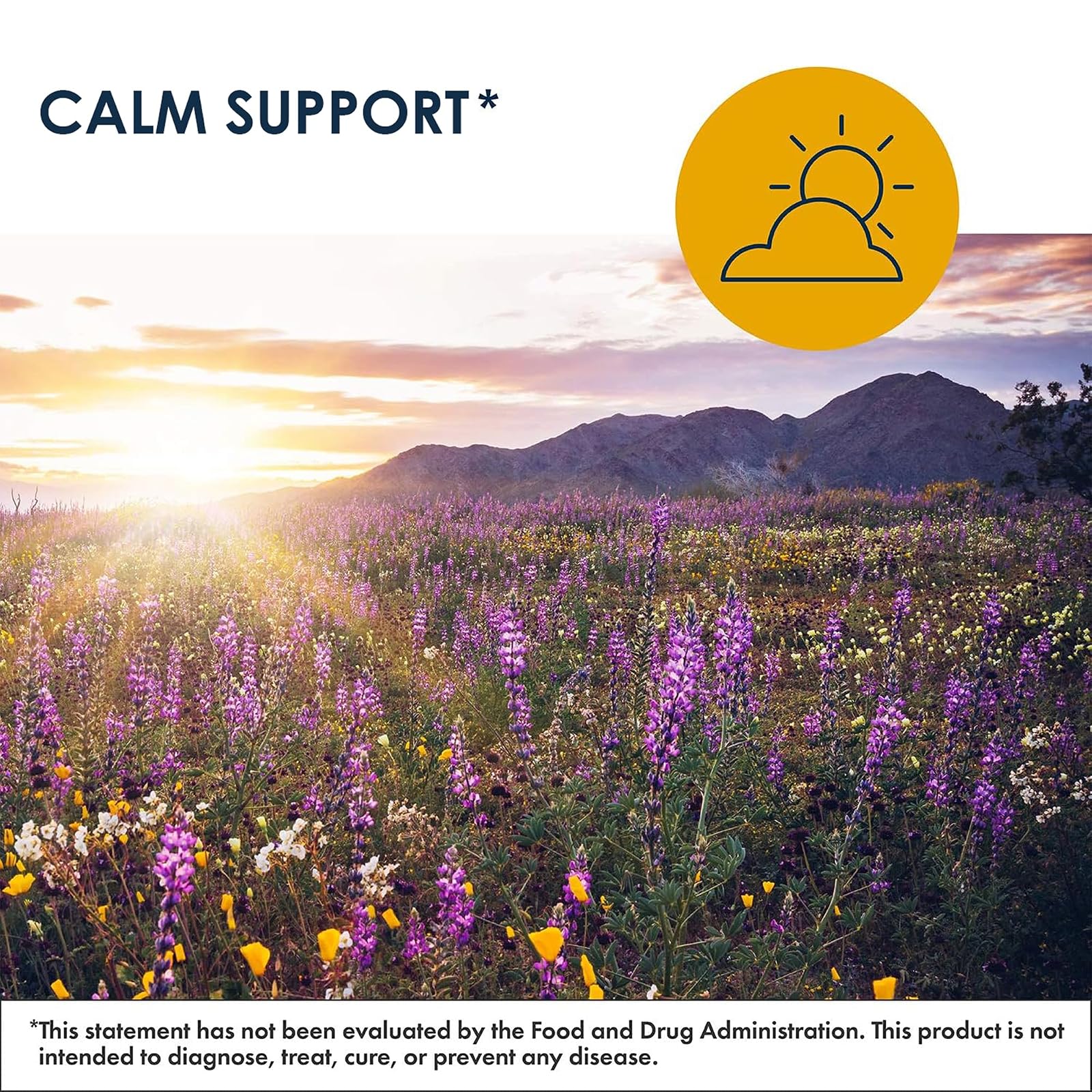 boosts mood and cognitive function