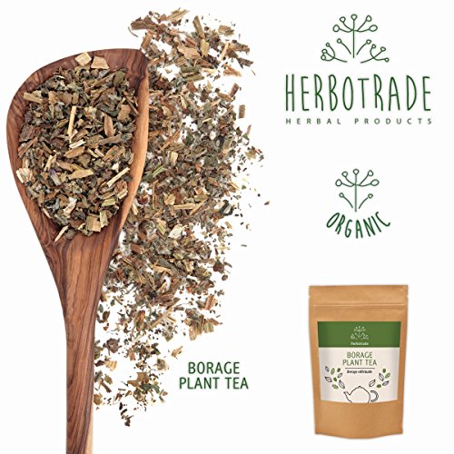 borage plant tea for digestion