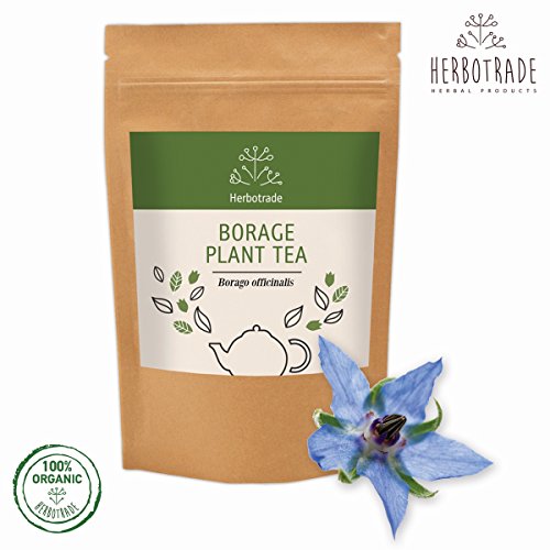 borage tea for immune support