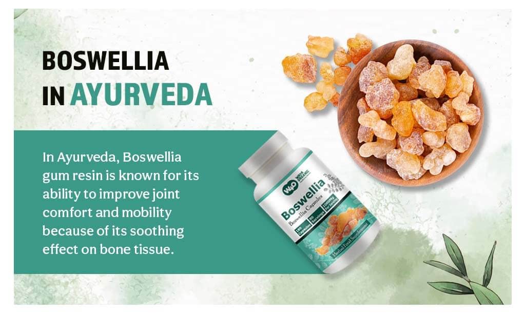 Boswellia capsules for muscle recovery