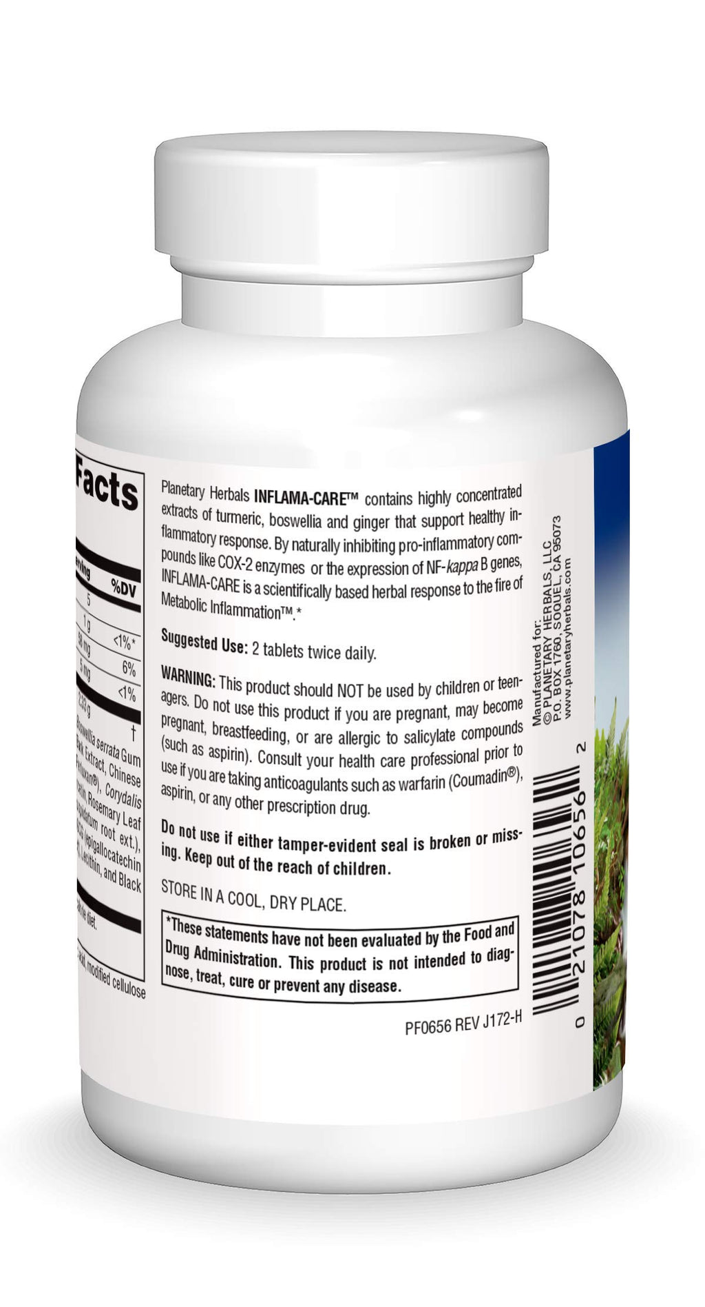 Boswellia complex for joint health