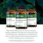 Boswellia for healthy mobility