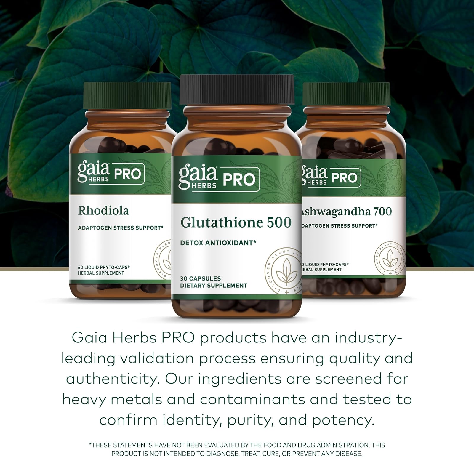 Boswellia for healthy mobility