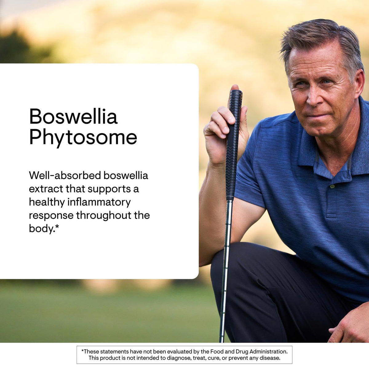Boswellia phytosome for joint health
