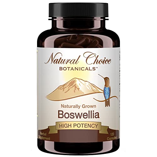 boswellia serrata extract capsules