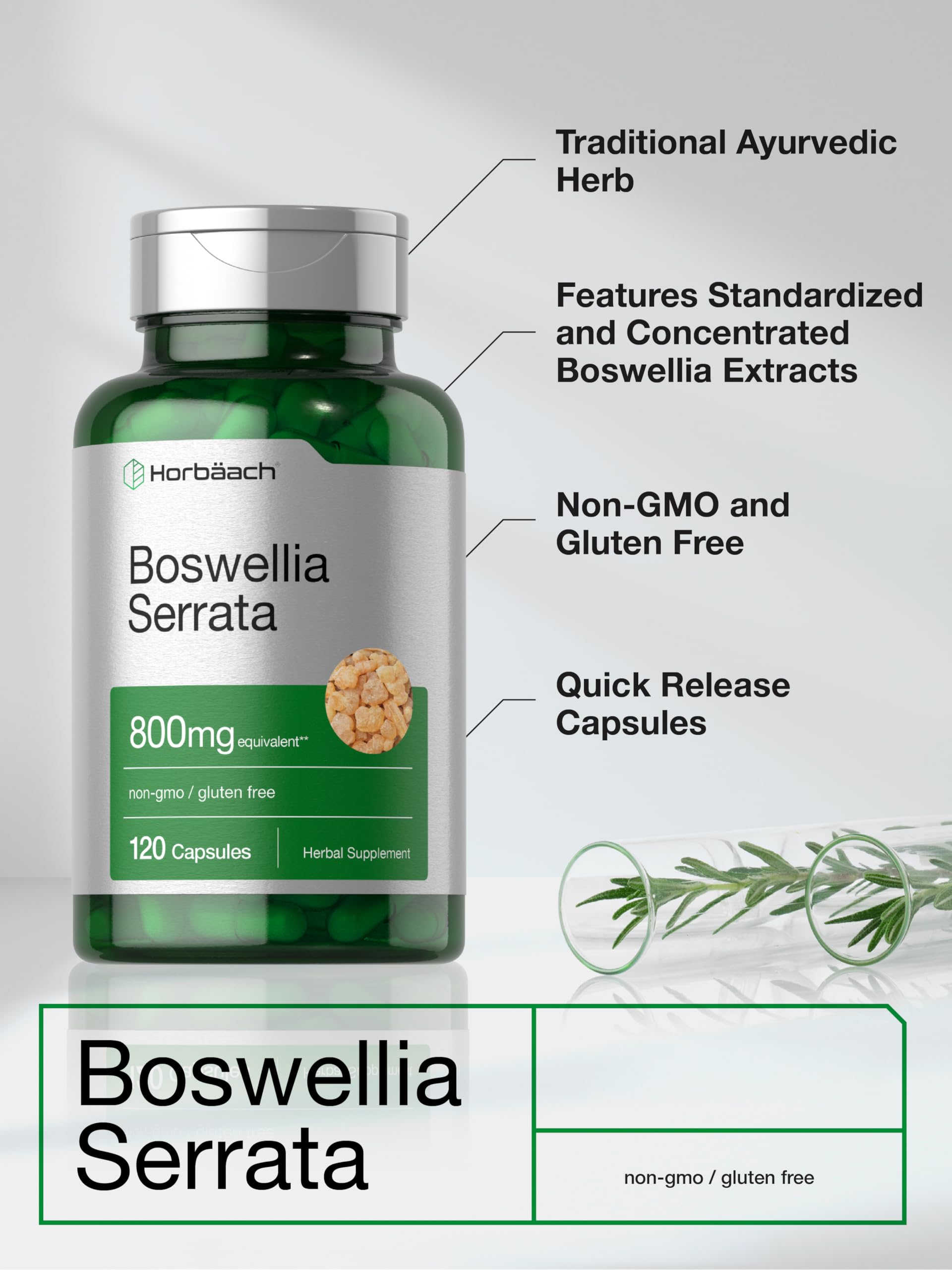 Boswellia Serrata health benefits
