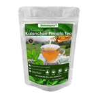 BOTAMONY Kalanchoe Pinnata herbal tea bags