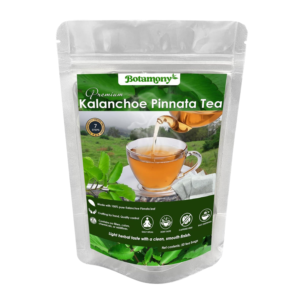 BOTAMONY Kalanchoe Pinnata herbal tea bags