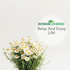 Botanic Choice chamomile tea alternative