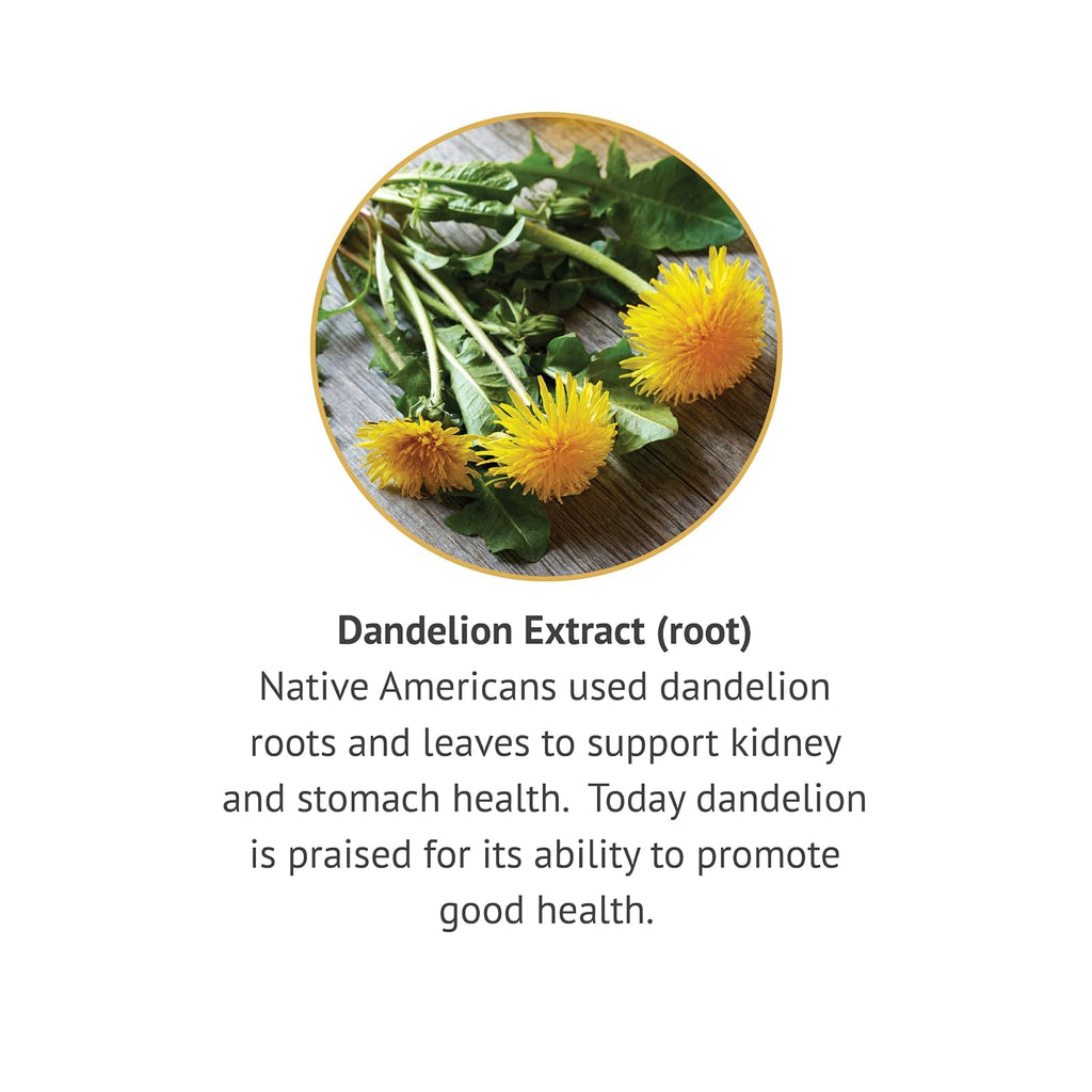 Botanic Choice dandelion extract 1 fl oz