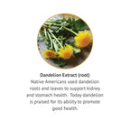 Botanic Choice dandelion extract 1 fl oz