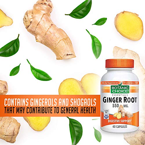 Botanic Choice ginger for adults