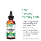 Botanic Choice Ginkgo Biloba extract
