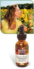 Botanic Choice Mullein Leaf Extract Benefits