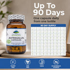 botanical health benefits of astragalus