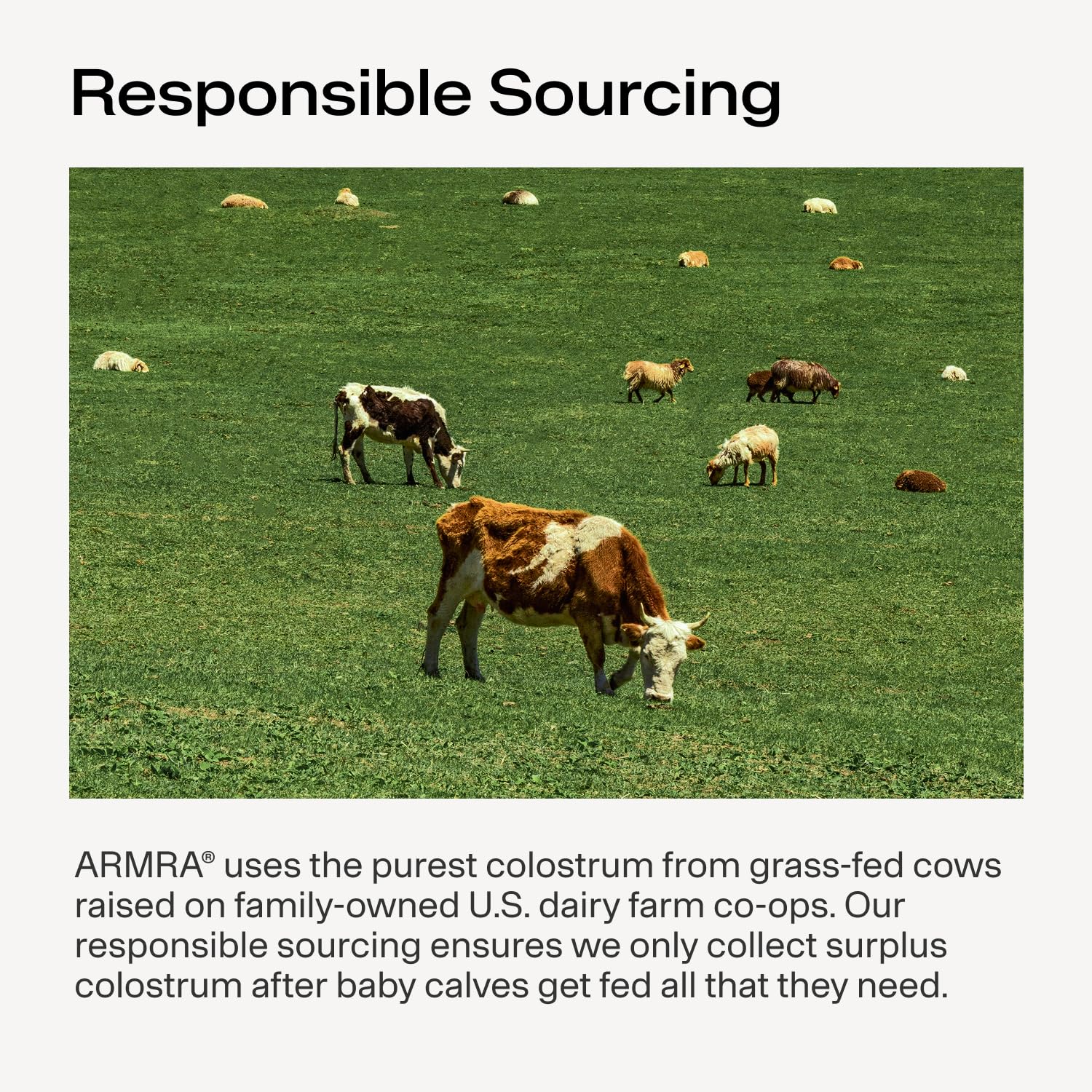 bovine colostrum for athletic recovery