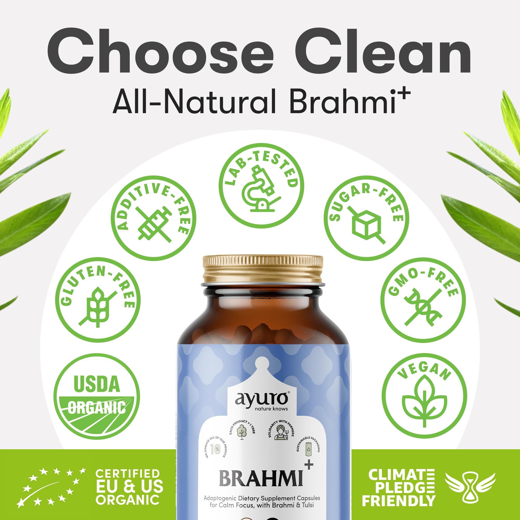 Brahmi capsules for focus