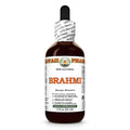 Brahmi herbal supplement for memory