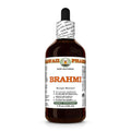 Brahmi herbal supplements for memory