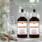 Brahmi tincture for daily wellness
