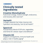 Brain and body performance powder