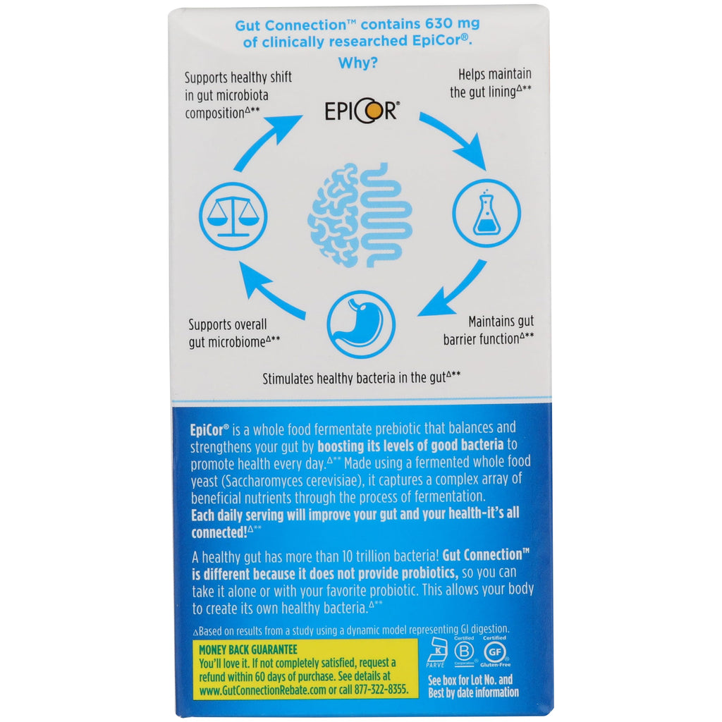 brain and gut health synergy