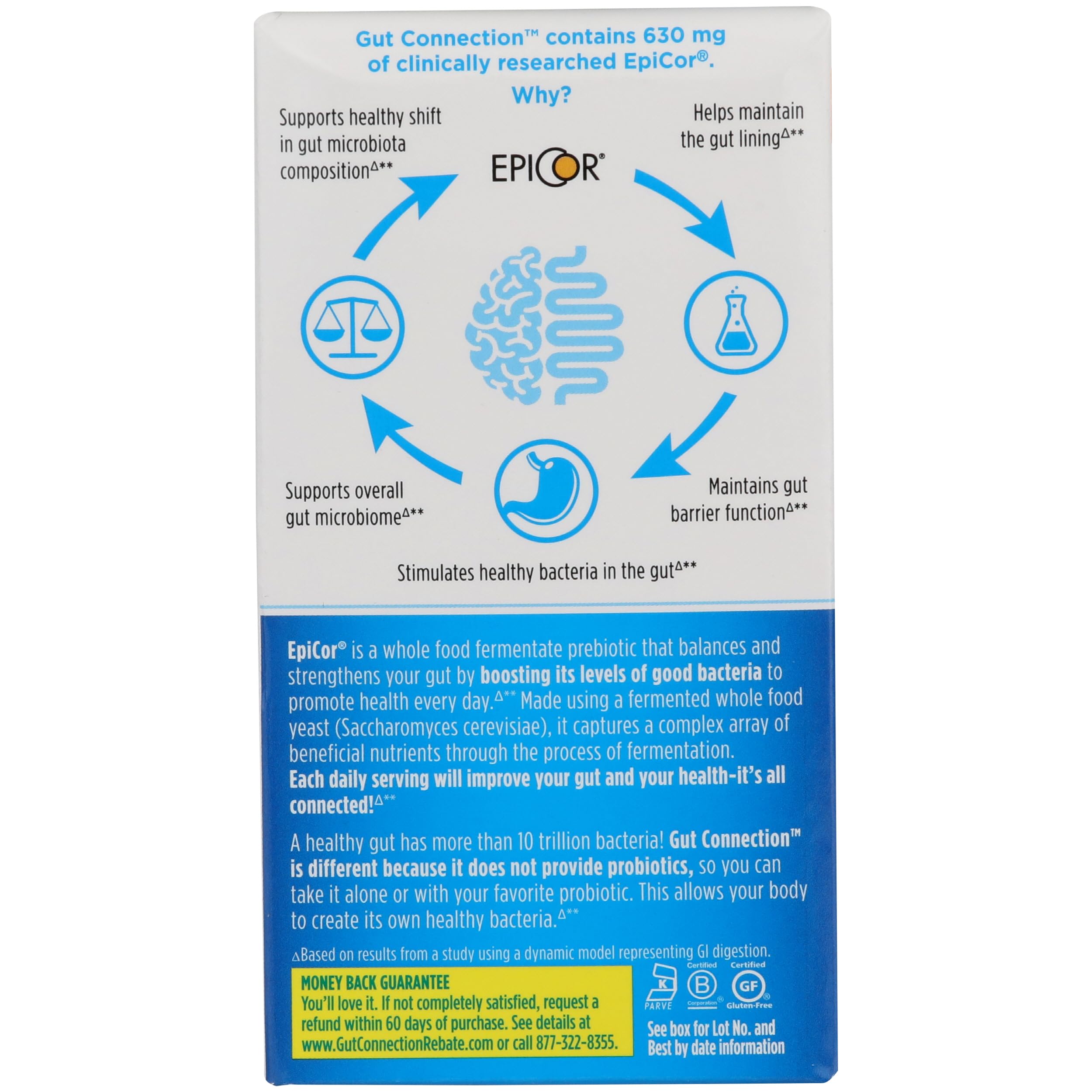 brain and gut health synergy
