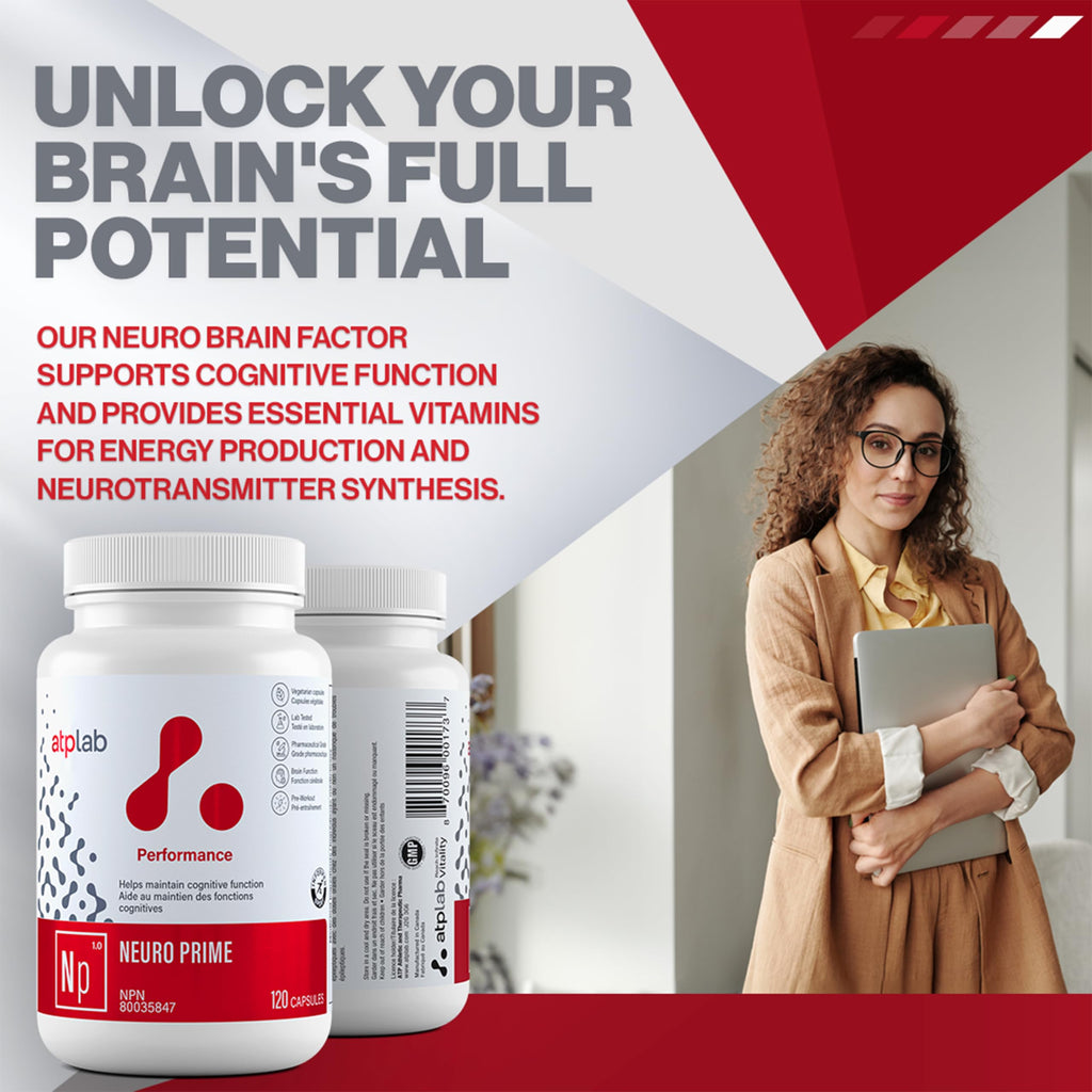 brain and memory support vitamins