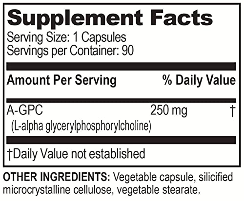 Brain Basics choline supplement benefits